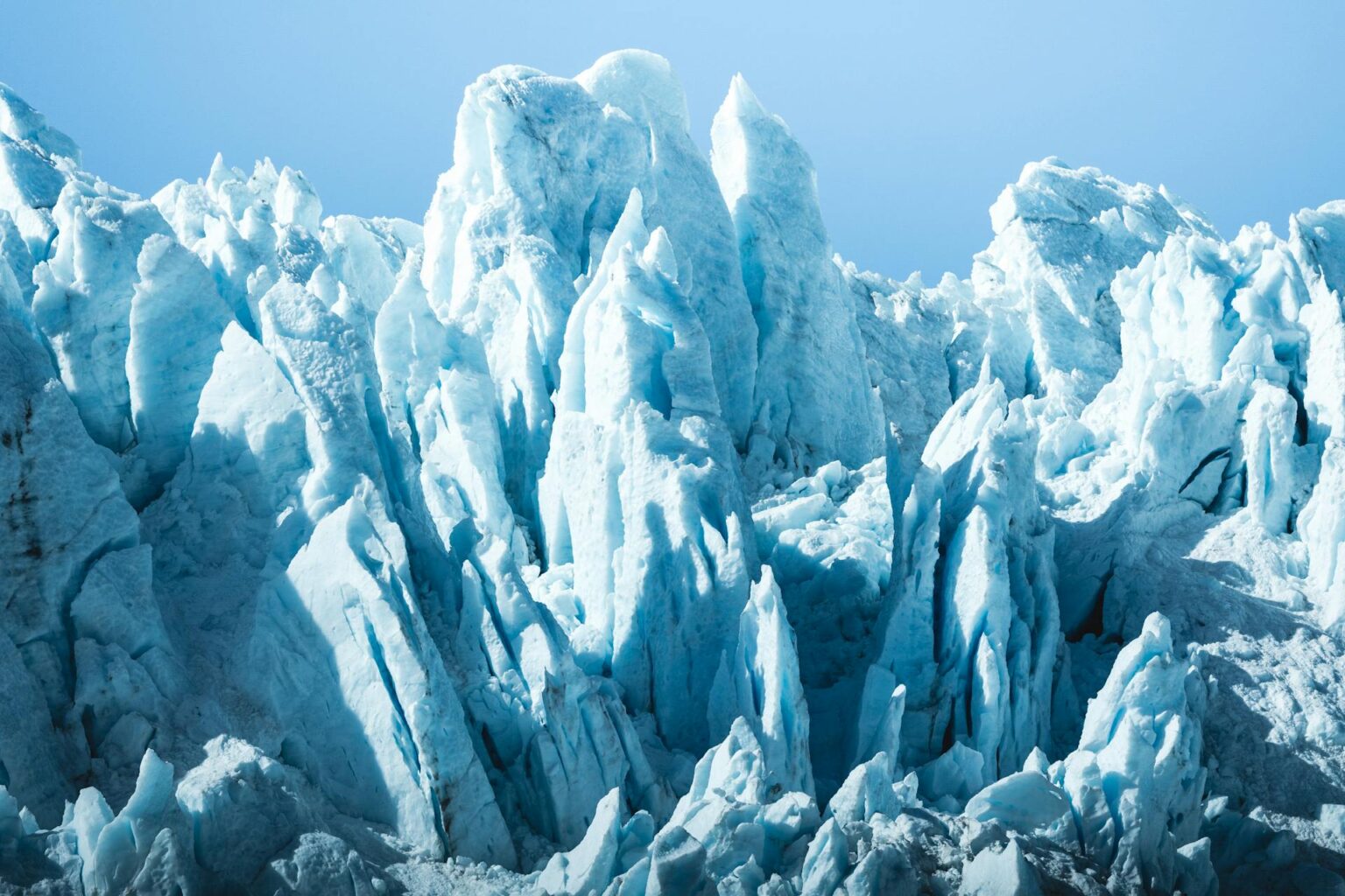 Resilience in the Ice Age: How Early Humans Adapted and Thrived